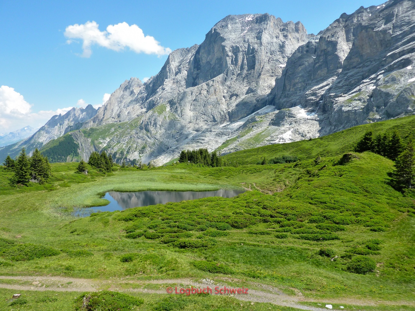 Die große Scheidegg mit dem Fahrrad - besonderes Bergerlebnis › Logbuch ...
