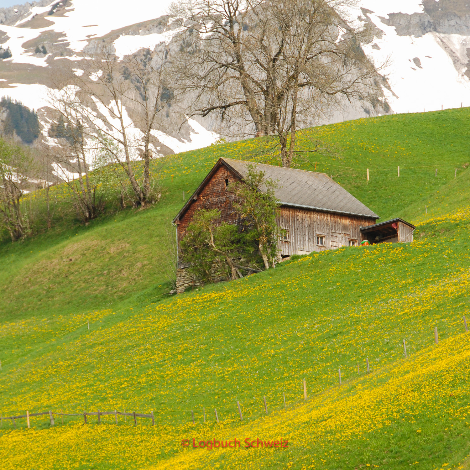 Der Fluß Thur in der Schweiz - mit dem Fahrrad durch die Ostschweiz ...