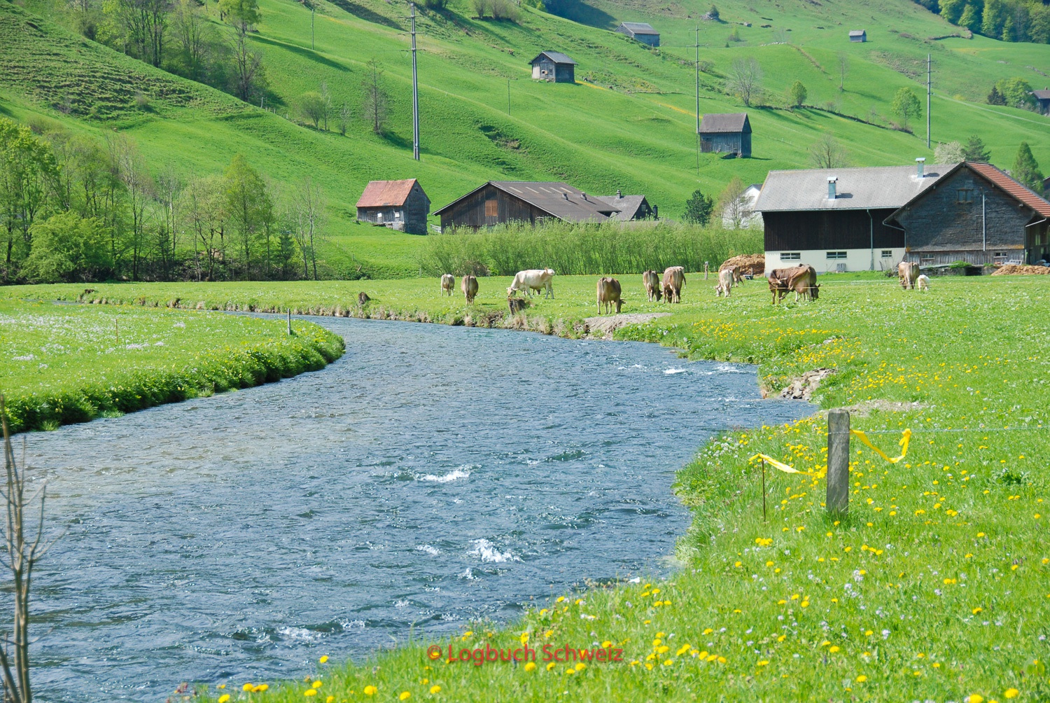 Der Fluß Thur in der Schweiz - mit dem Fahrrad durch die Ostschweiz ...