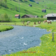 Der Fluß Thur in der Schweiz - mit dem Fahrrad durch die Ostschweiz ...