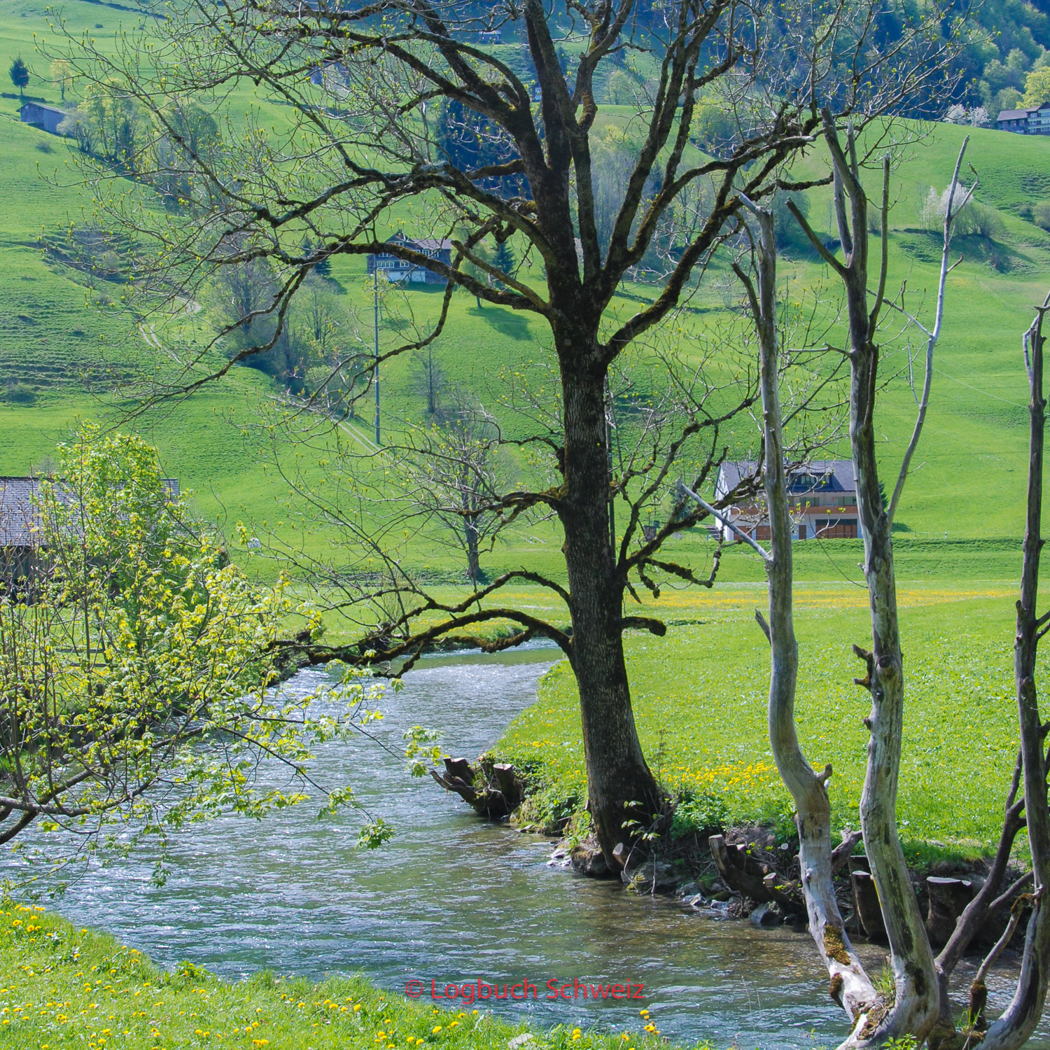 Der Fluß Thur in der Schweiz - mit dem Fahrrad durch die Ostschweiz ...